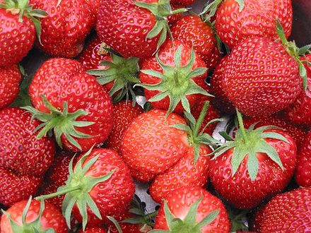 Aardbeien Holland - Groente en Fruit
