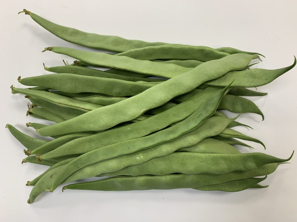 Snijbonen - Groente en Fruit